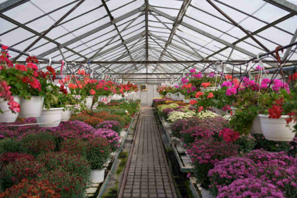 Mcallen Farm And Garden